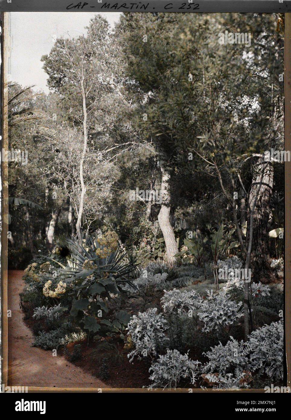 Cap Martin , France , 1914 - Cap Martin - Auguste Léon - (March Stock ...