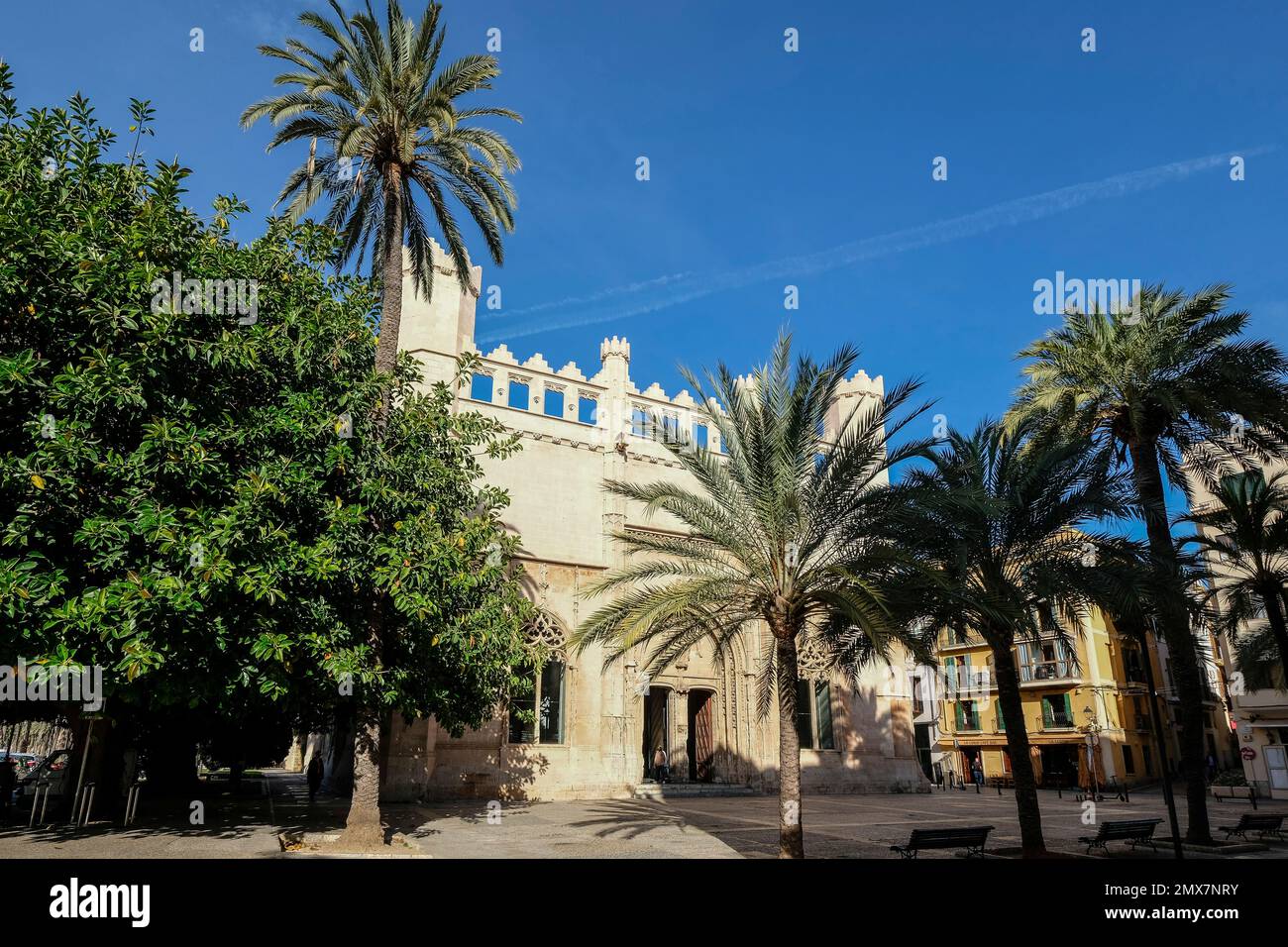 Lonja de Palma, Sa Llotja, masterpiece of Gothic architecture in ...