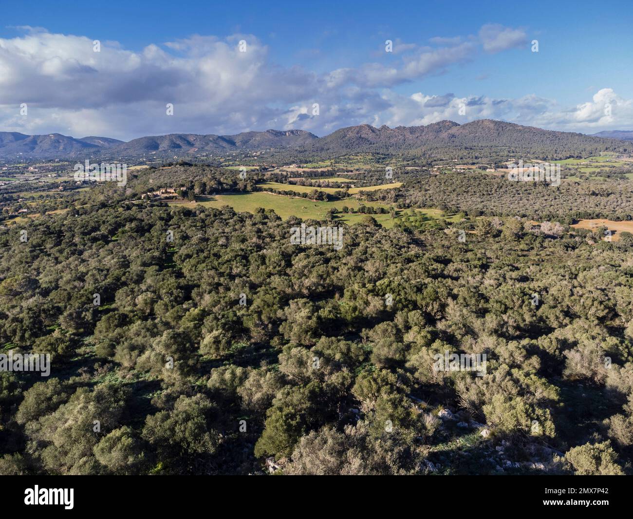 Punta de Ses Talaies, center of the battlefield, Son Carrio, location ...