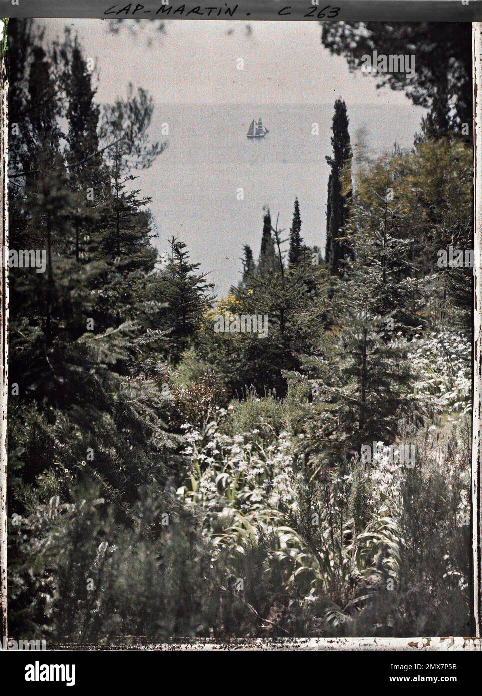 Cap Martin, France View of the sea of the garden , 1914 - Cap Martin ...