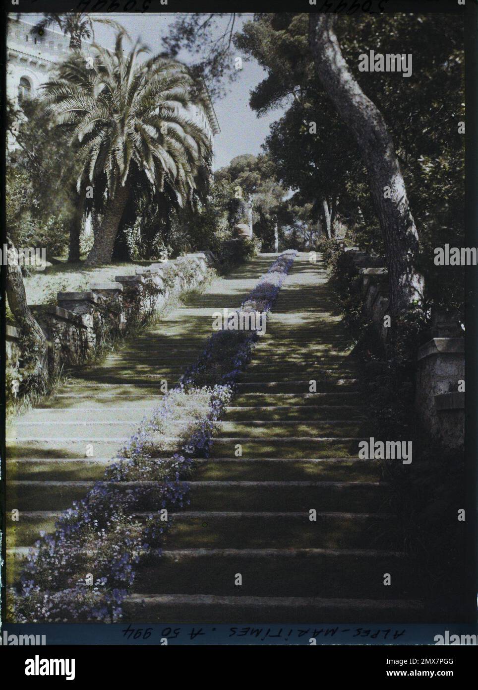 Cap Martin, France Grand Staircase of the garden of the Villa Cypris ...