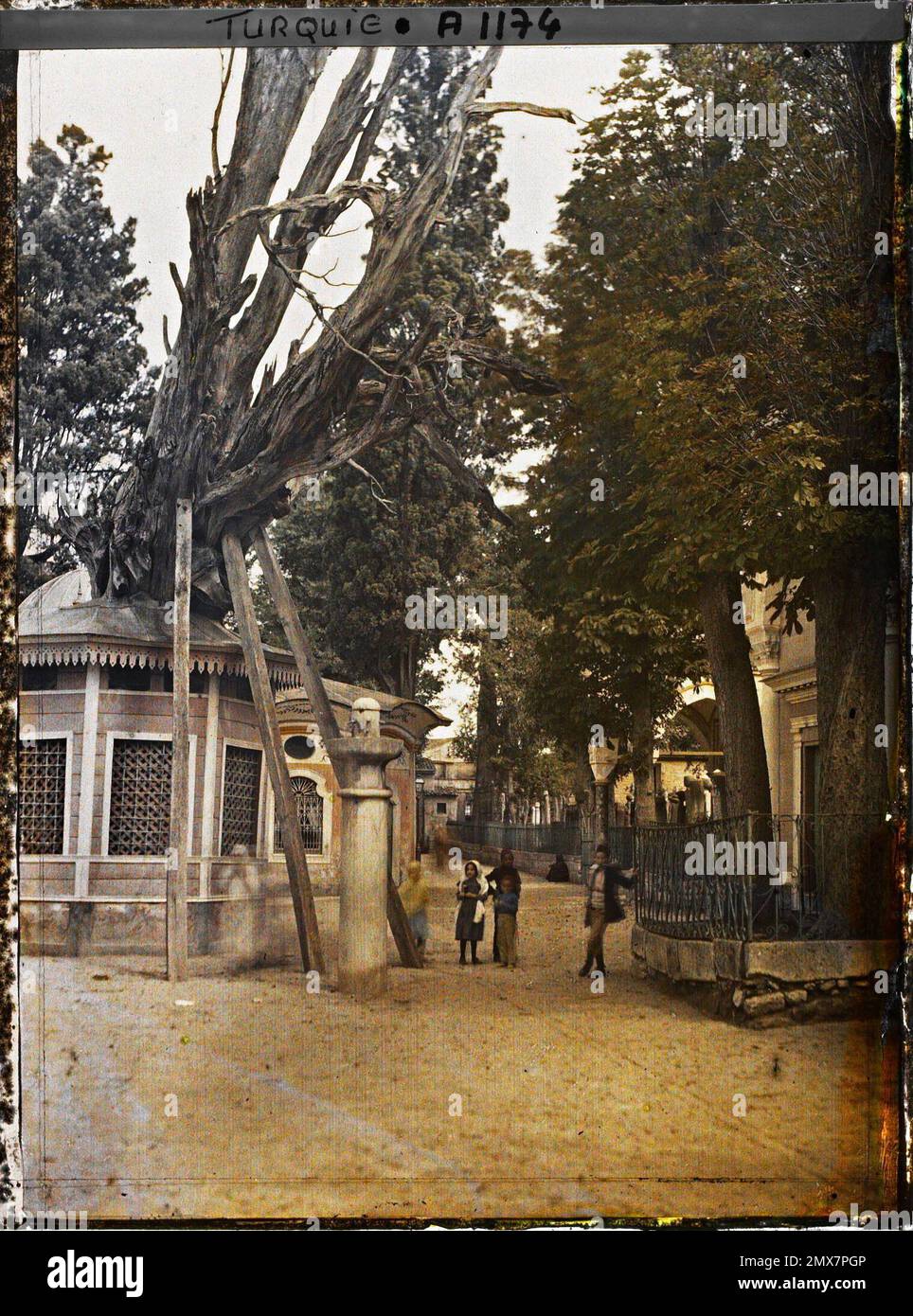 Constantinople (current Istanbul), Turkey Street bordered by tombs and ...