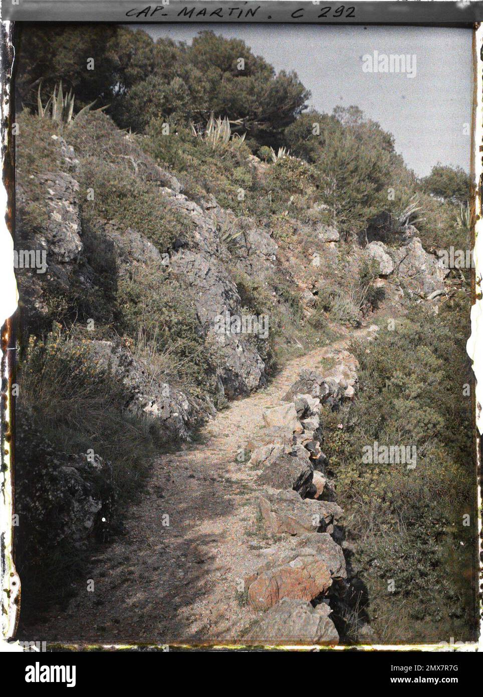 Cap Martin , France , 1913 - Cap Martin - Auguste Léon - (March Stock ...