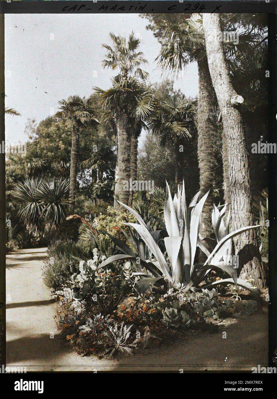 Cap Martin , France , 1914 - Cap Martin - Auguste Léon - (March Stock ...