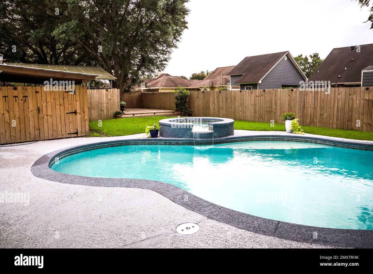 Free-form gray grey accent swimming pool with turquoise blue water in a ...