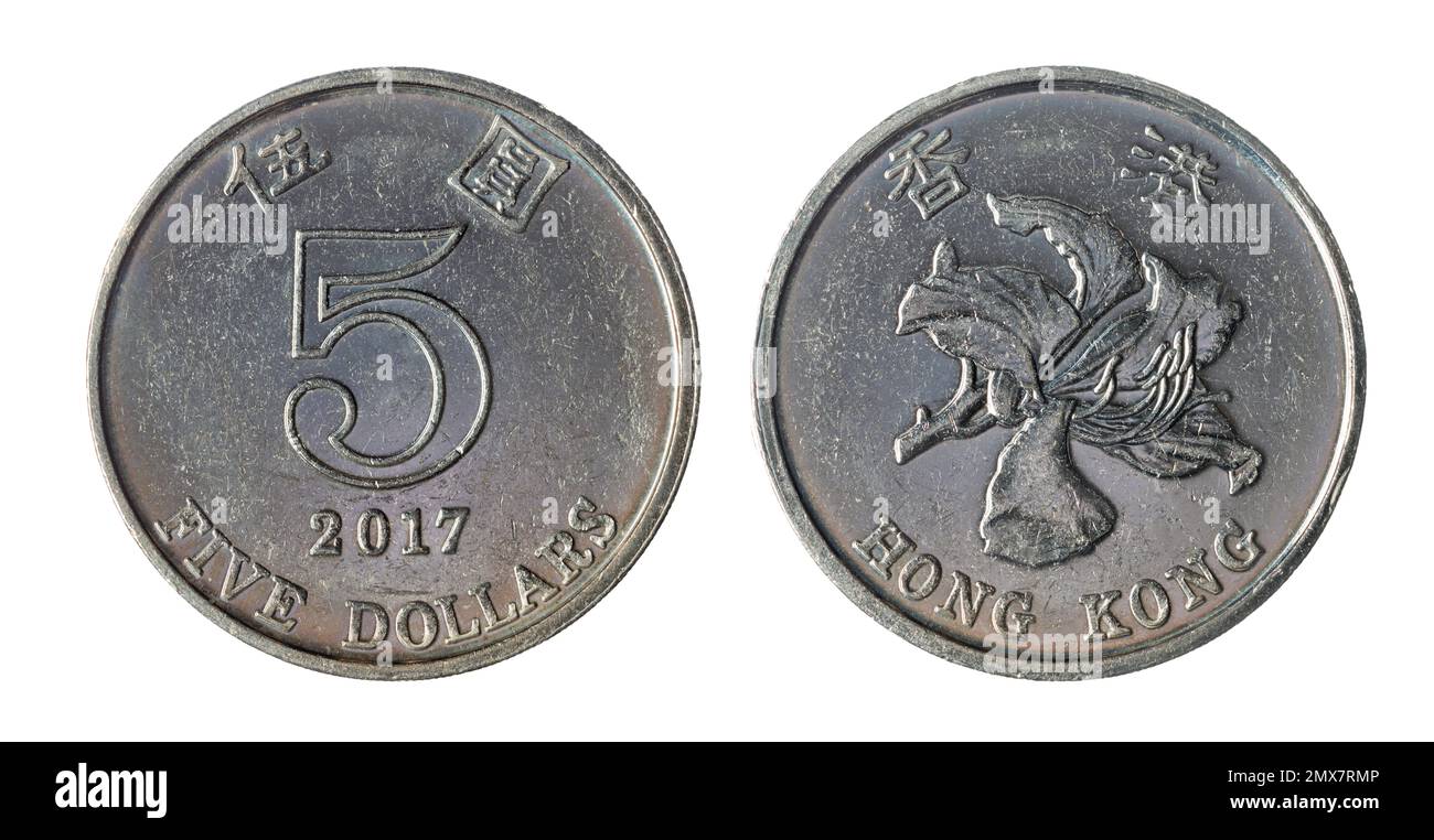 5 dollars Cut Out Stock Images & Pictures - Alamy