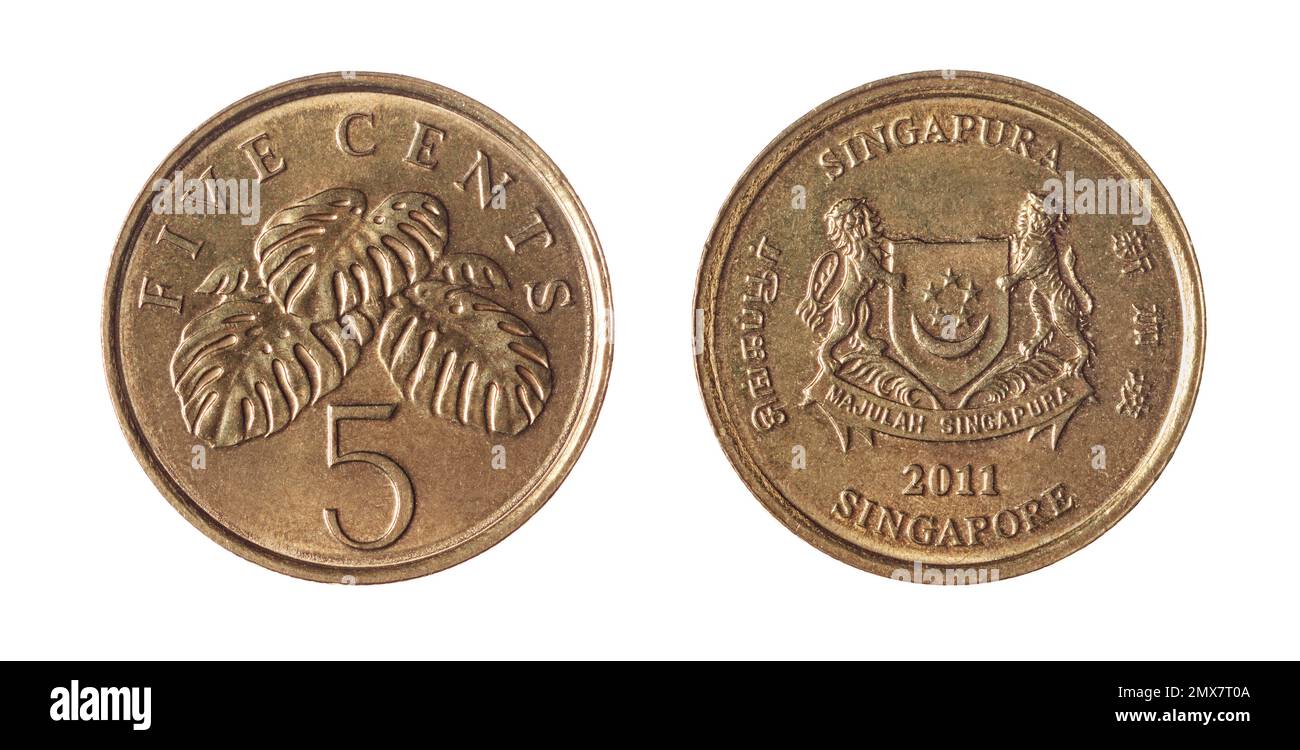 Both sides of the 5 Singapore cents coin (2011) depicting Monstera ...