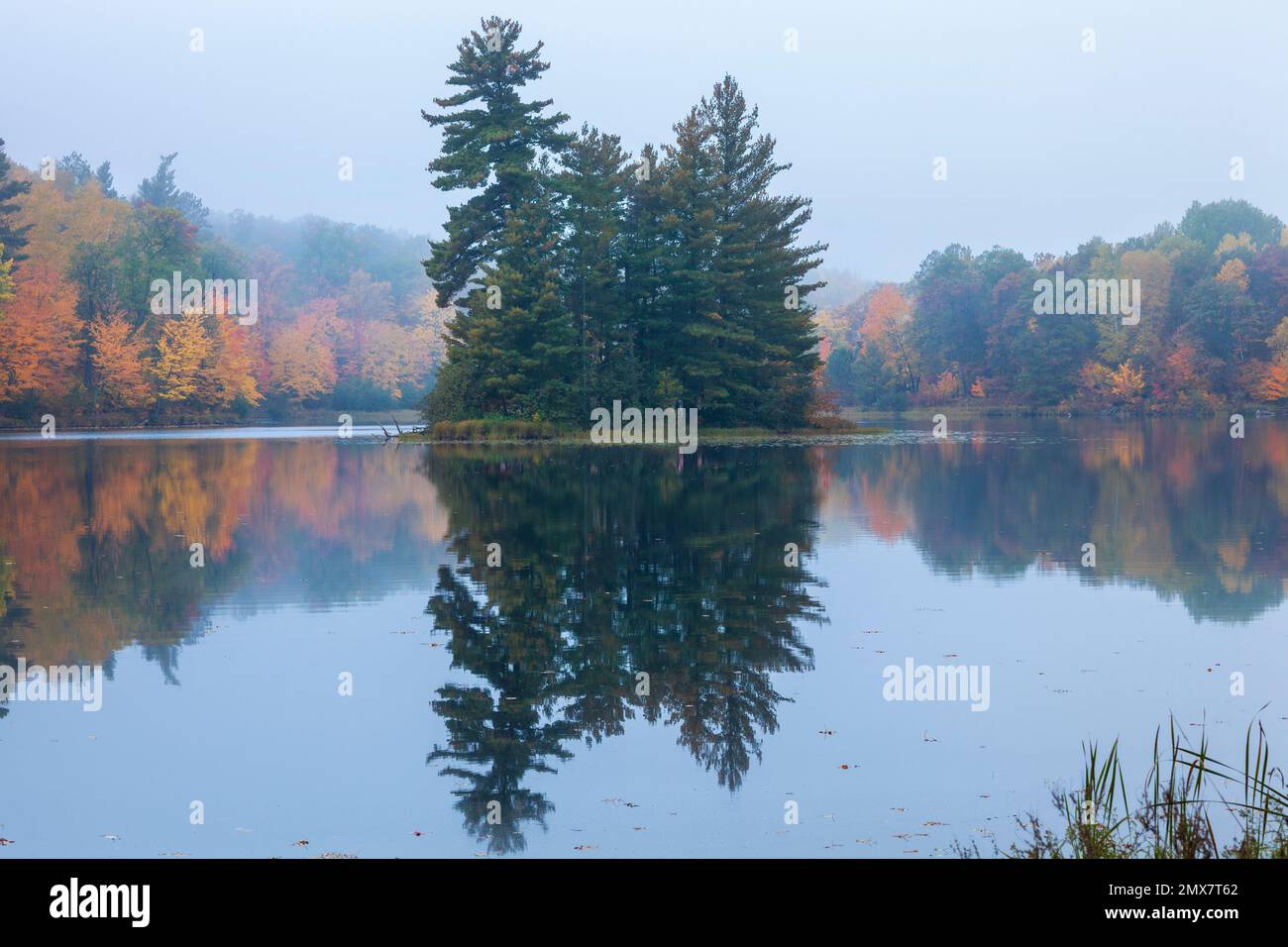 Calm lake and fog in northern Minnesota with trees in autumn color and ...