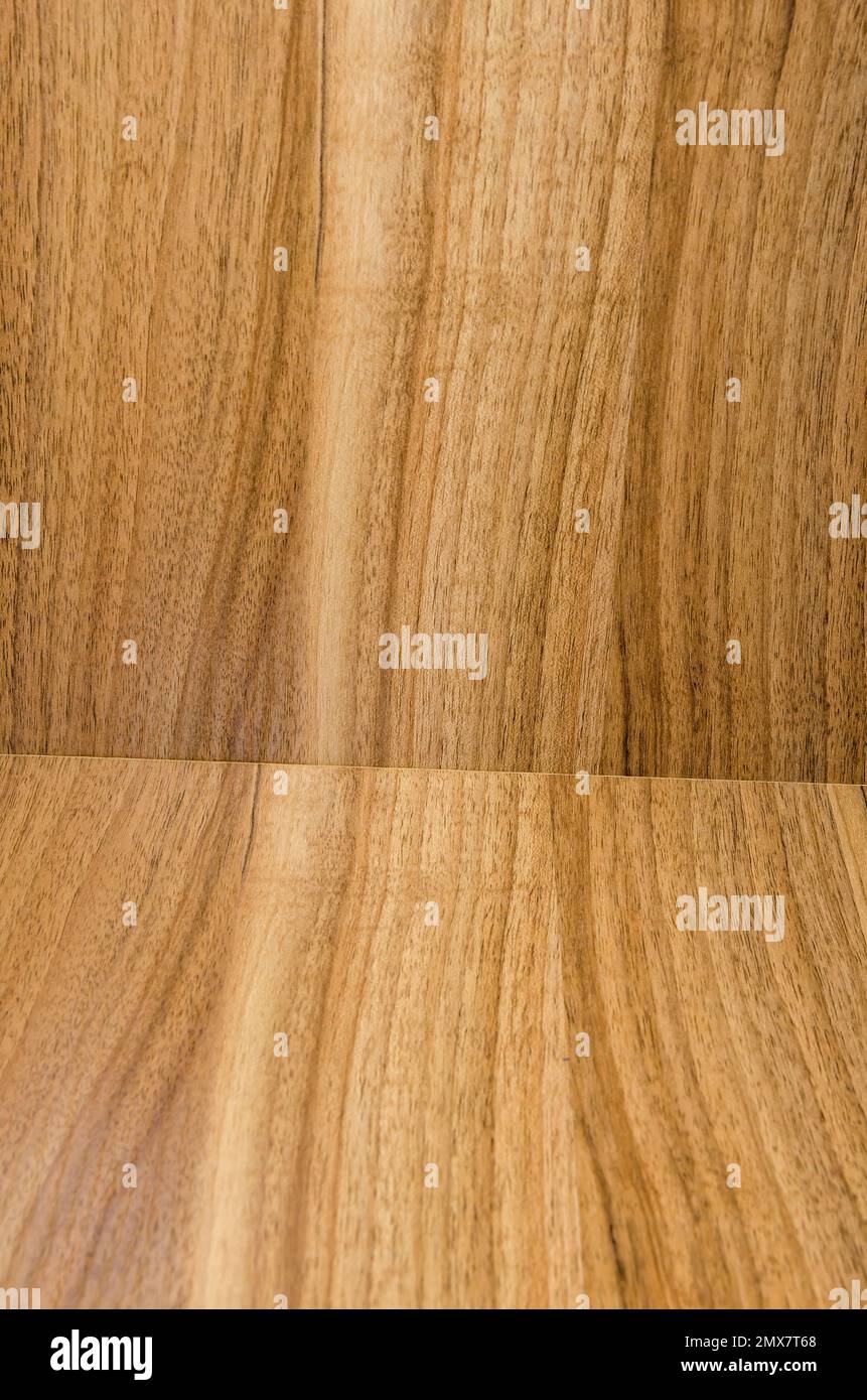 texture of light wood panels Stock Photo - Alamy