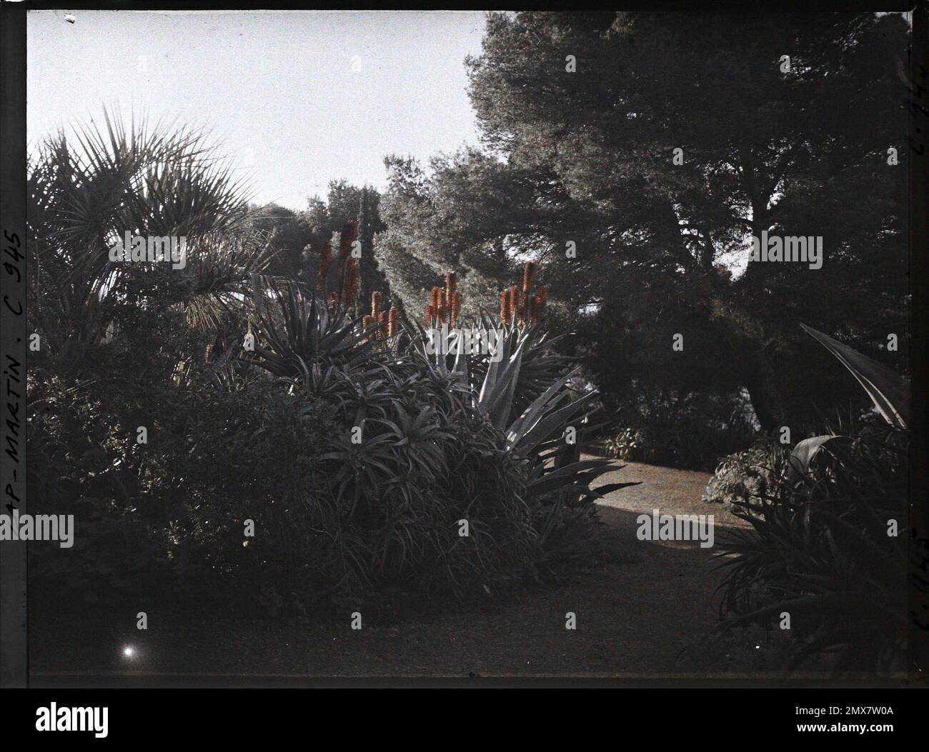 Cap Martin , France , 1927 - Cap Martin - Auguste Léon - (March -April ...