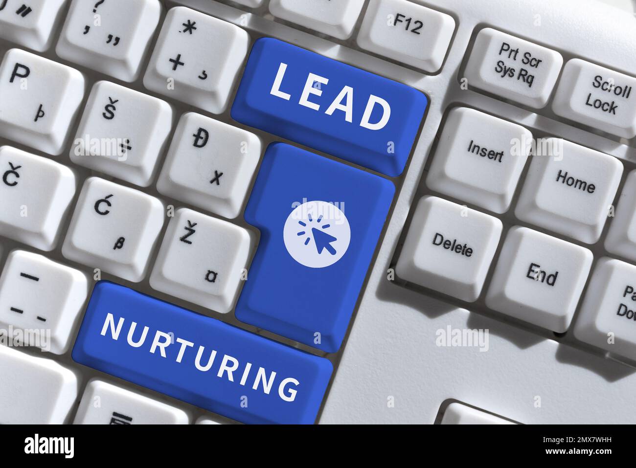 Conceptual display Lead Nurturing. Word Written on method of building a ...