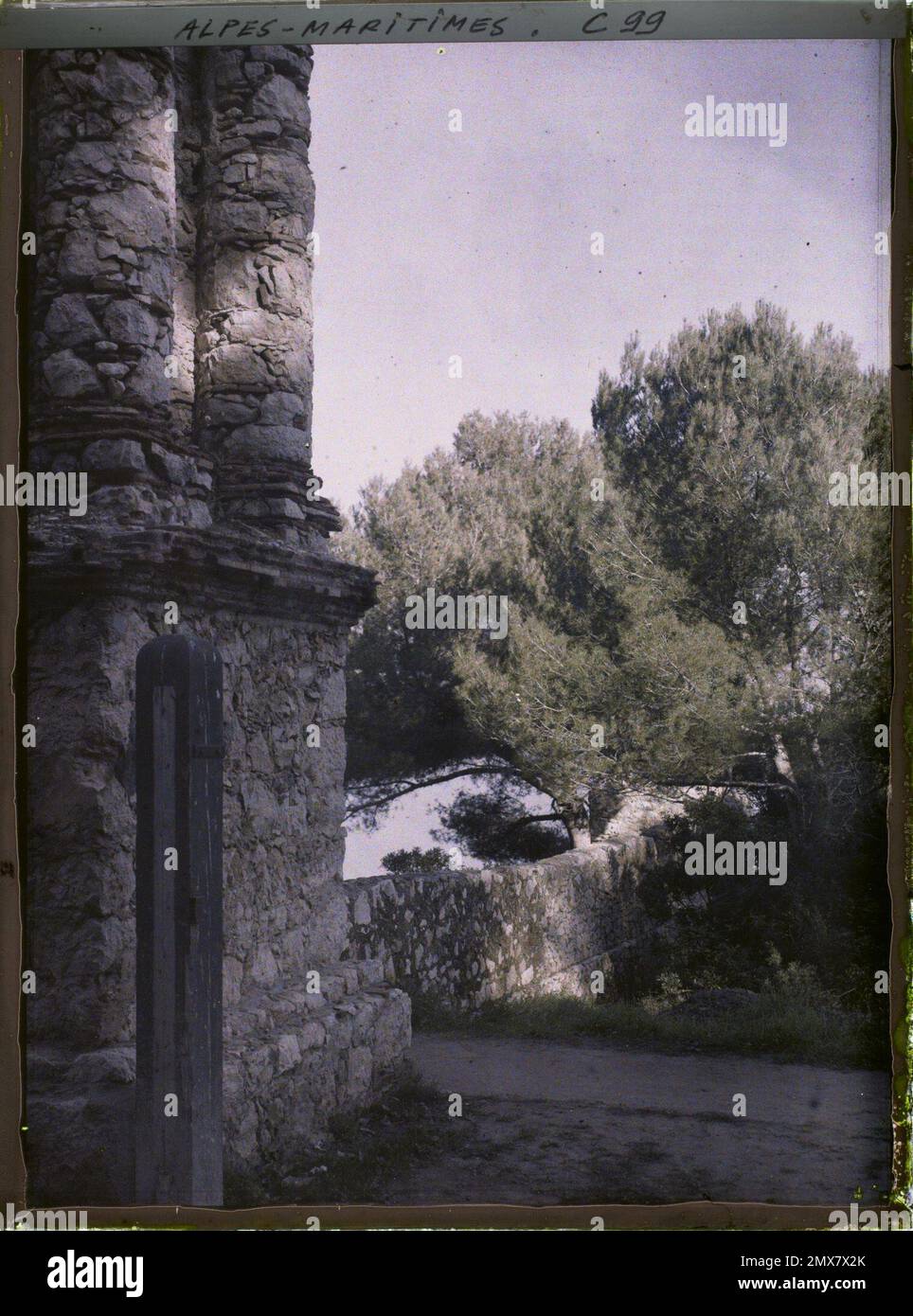 Cap Martin, Alpes-Maritimes, France The ruins of the old Saint-Martin ...