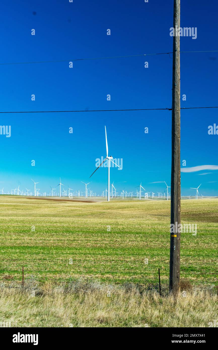 Wind turbines in green field, central Washington, USA Stock Photo - Alamy