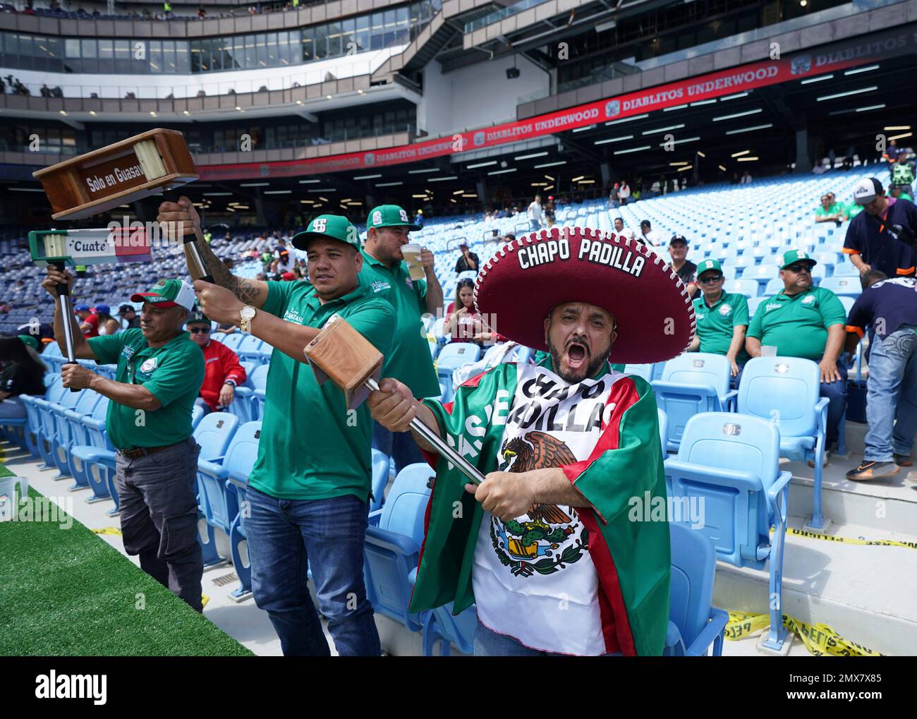 Mexico's fans cheer during a Caribbean Series baseball game against ...