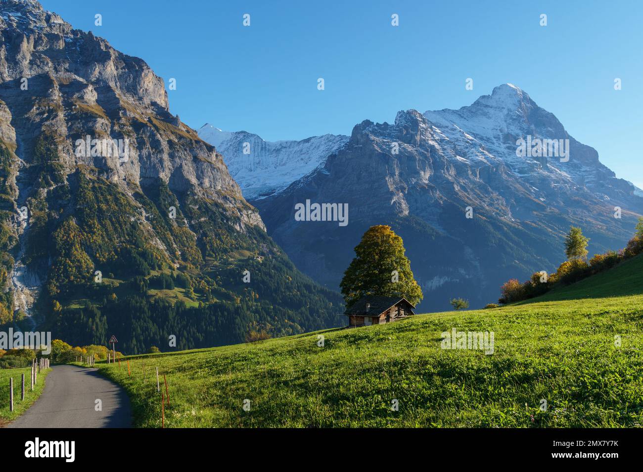 Small hut and lone tree on a grassy hill, set below stunning Swiss ...