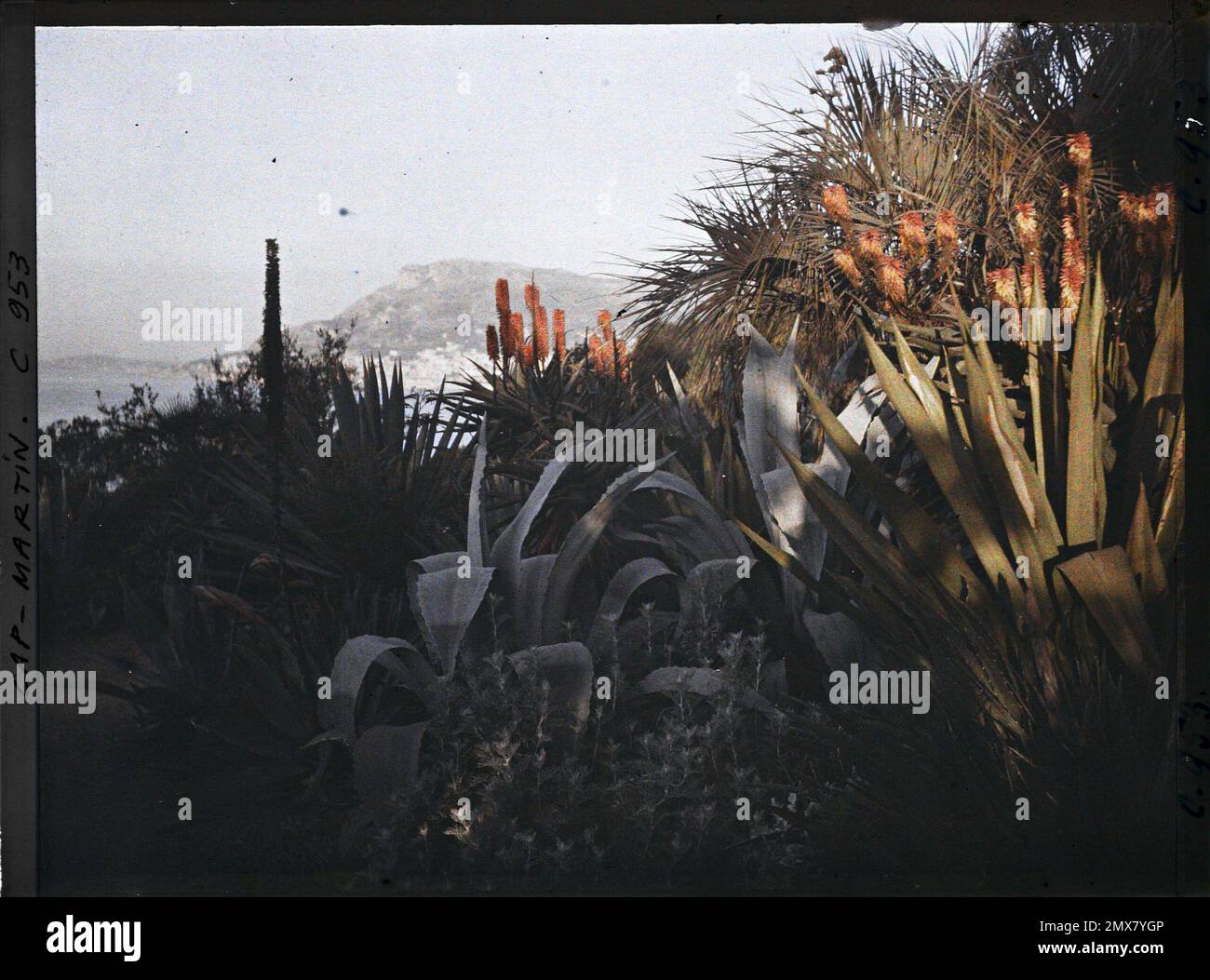 Cap Martin , France , 1927 - Cap Martin - Auguste Léon - (March -April ...