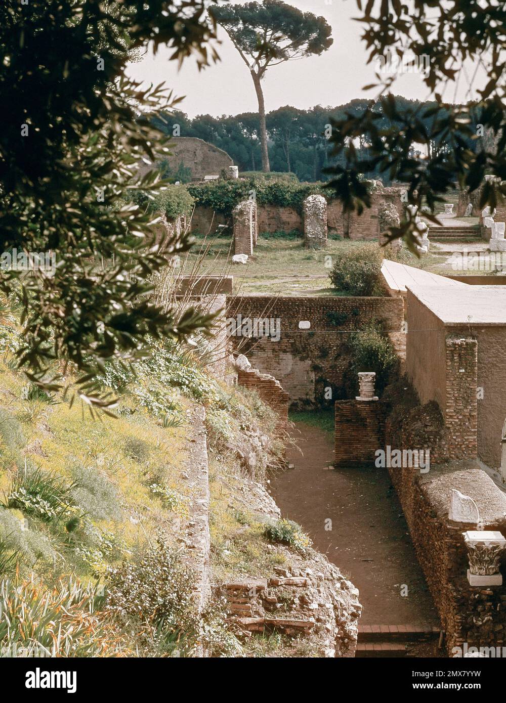 Livia house roma hi-res stock photography and images - Alamy