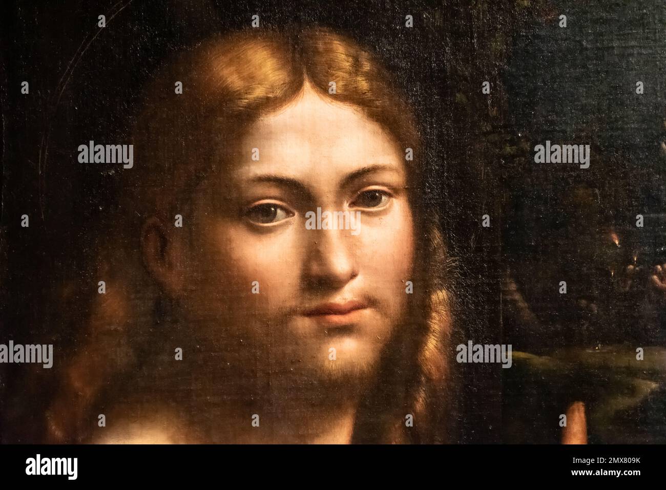 Close-up on renaissance portrait of an young and blond Jesus Christ ...