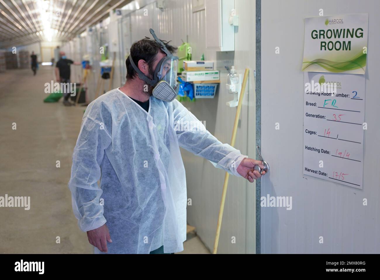 ISRAEL, Hargol FoodTech is the world's first commercial grasshopper ...