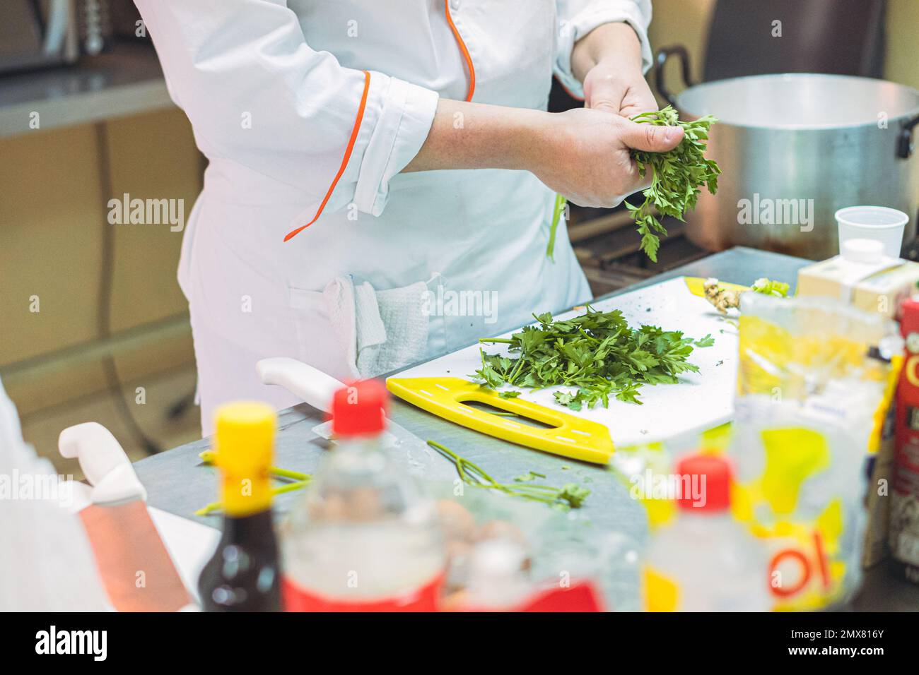 Crop unrecognizable female chef in uniform removing cilantro leaves ...