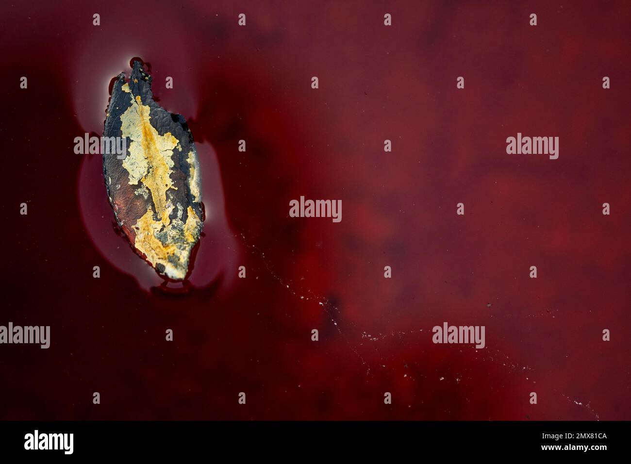 Full frame of red colored paint applied on old metal surface with ...