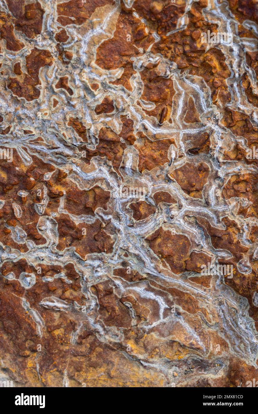 Textured background of rough rocky brown surface with uneven gray ...