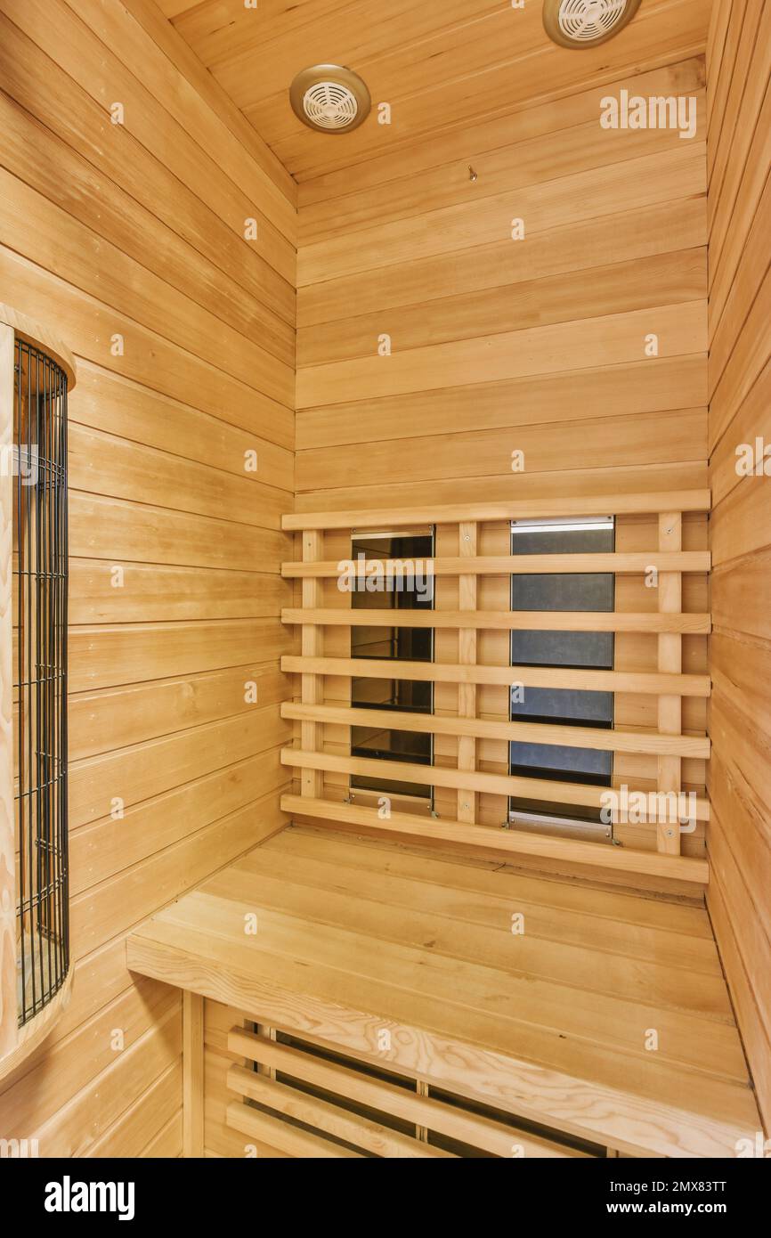 Contemporary interior design of wooden sauna with decorative elements ...