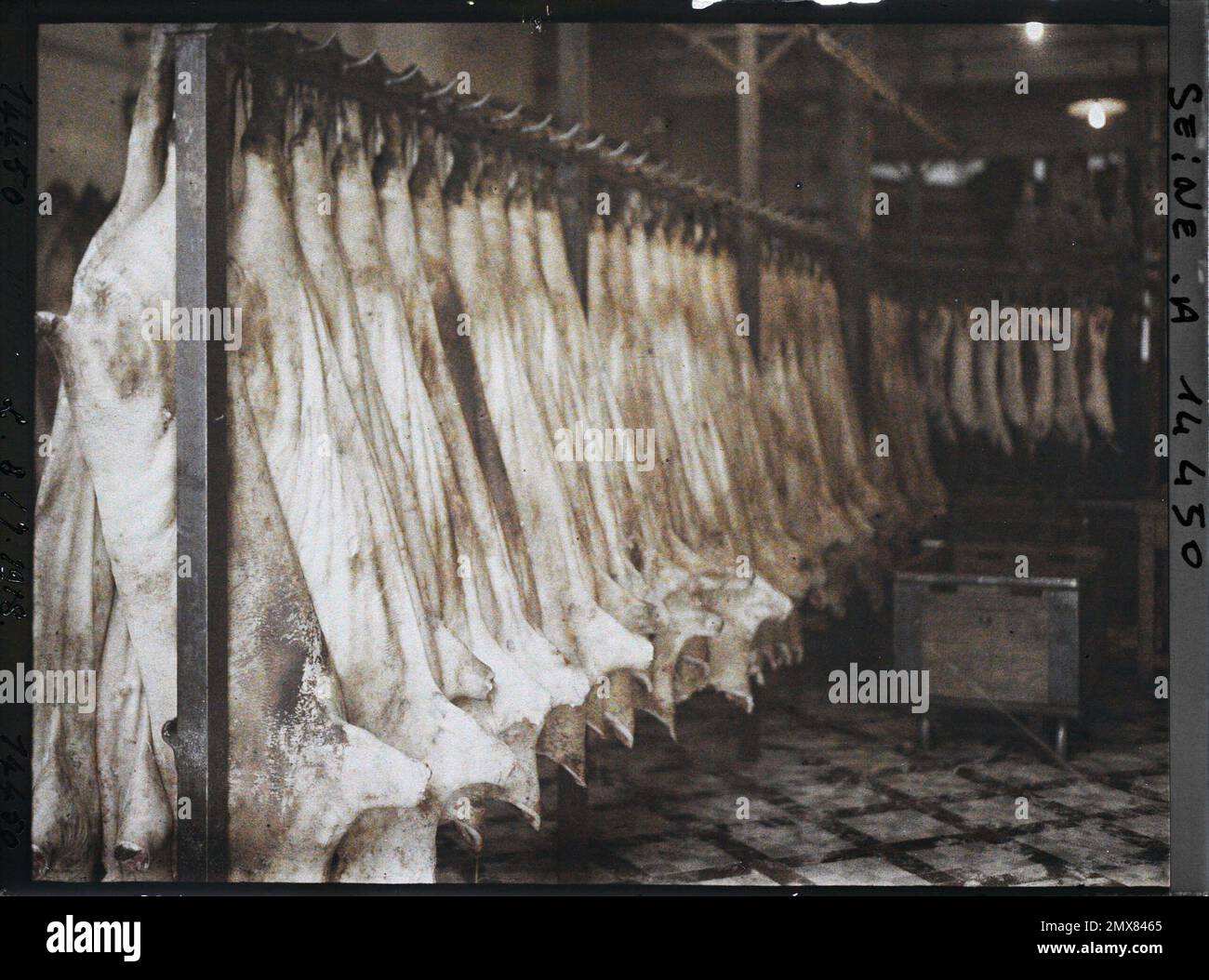 Paris (Ier Arr.), France Cochons hanged, cold cuts around the Halles ...