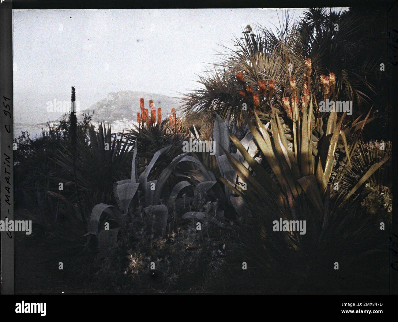 Cap Martin , France , 1927 - Cap Martin - Auguste Léon - (March -April ...