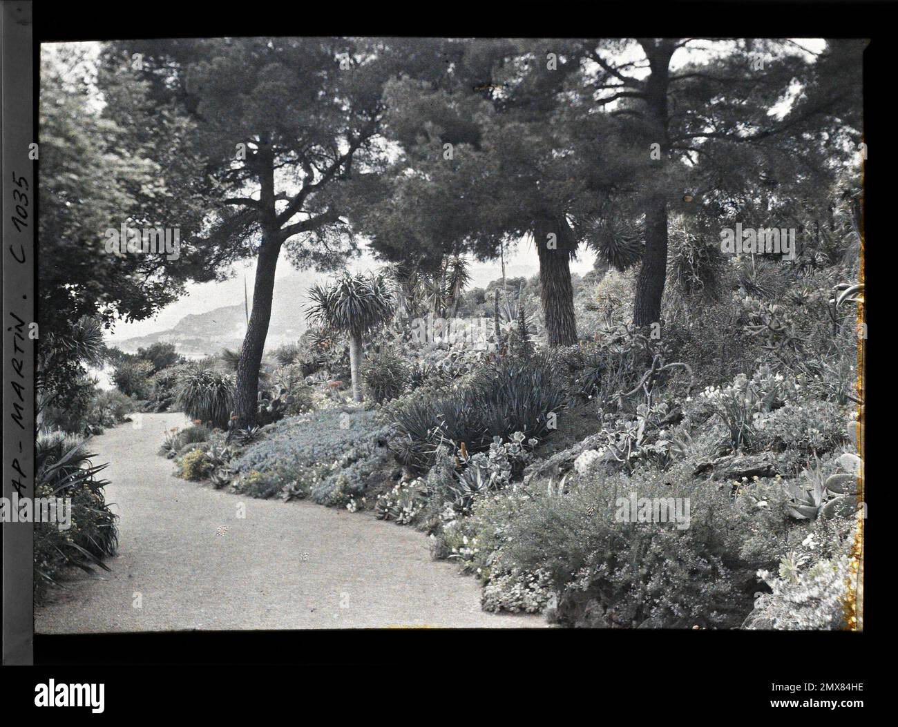 Cap Martin , France , 1927 - Cap Martin - Auguste Léon - (March -April ...