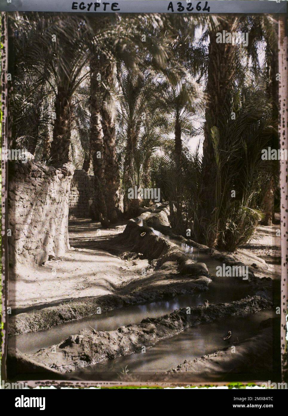 ASSOUAN, Egypt, Africa Channel of a Sakiéh in a village on the island ...