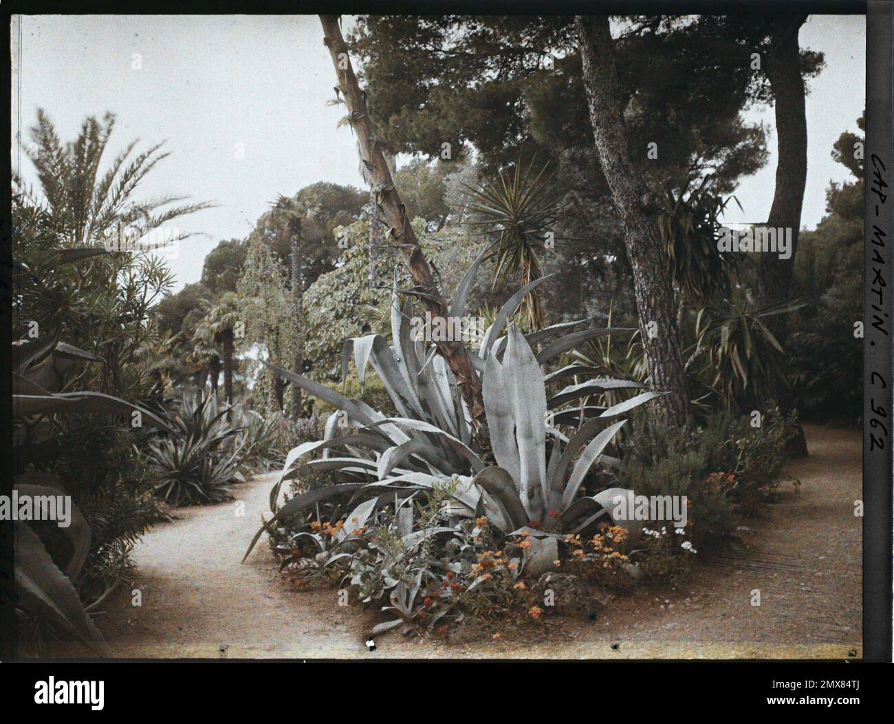 Cap Martin , France , 1927 - Cap Martin - Auguste Léon - (March -April ...