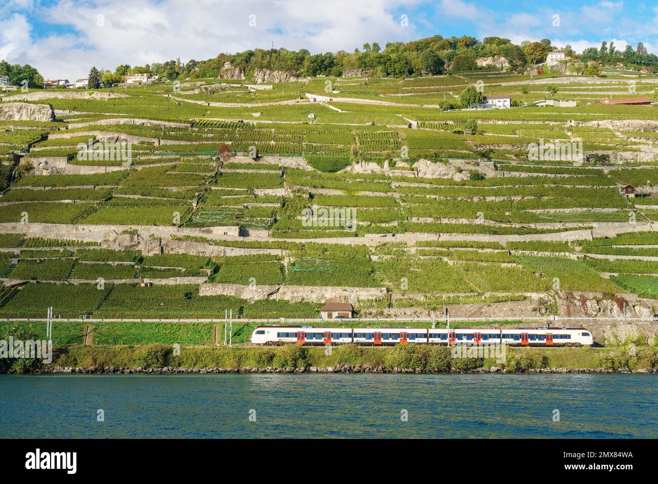 Train moves along the blue lake geneva shoreline with terraced lavaux ...