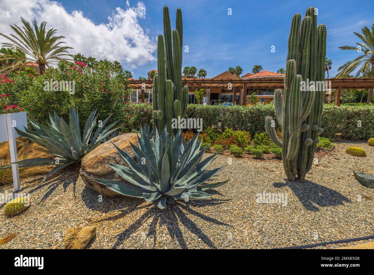 Beautiful view of green tropical plants and trees along roadside on ...