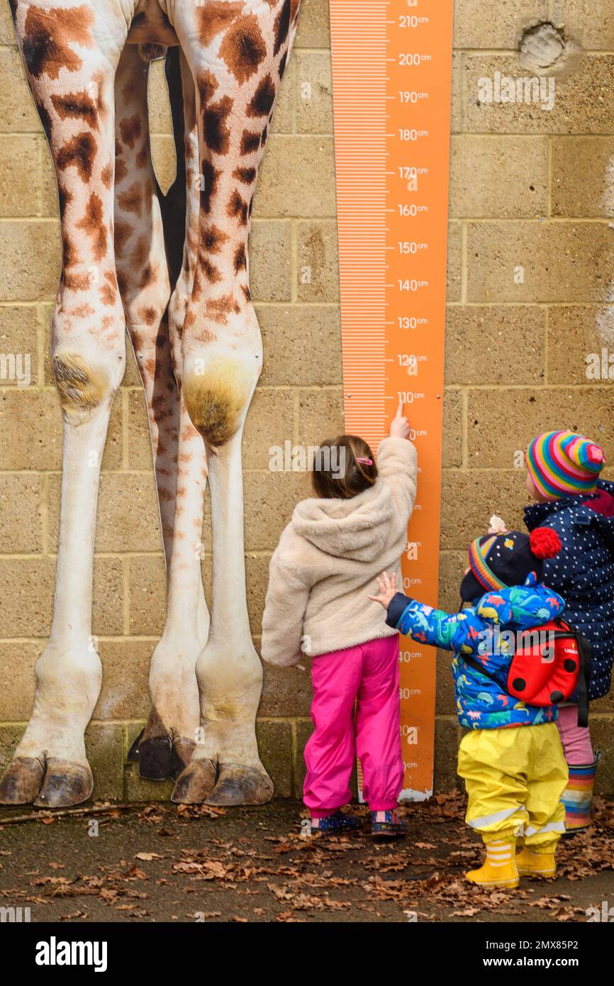 Three young children see how they measure up against the height of a ...