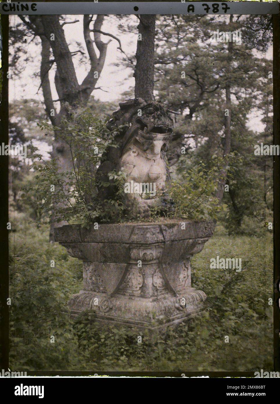 Represented animal fantastic animal tomb pine ornamental forest hi-res ...