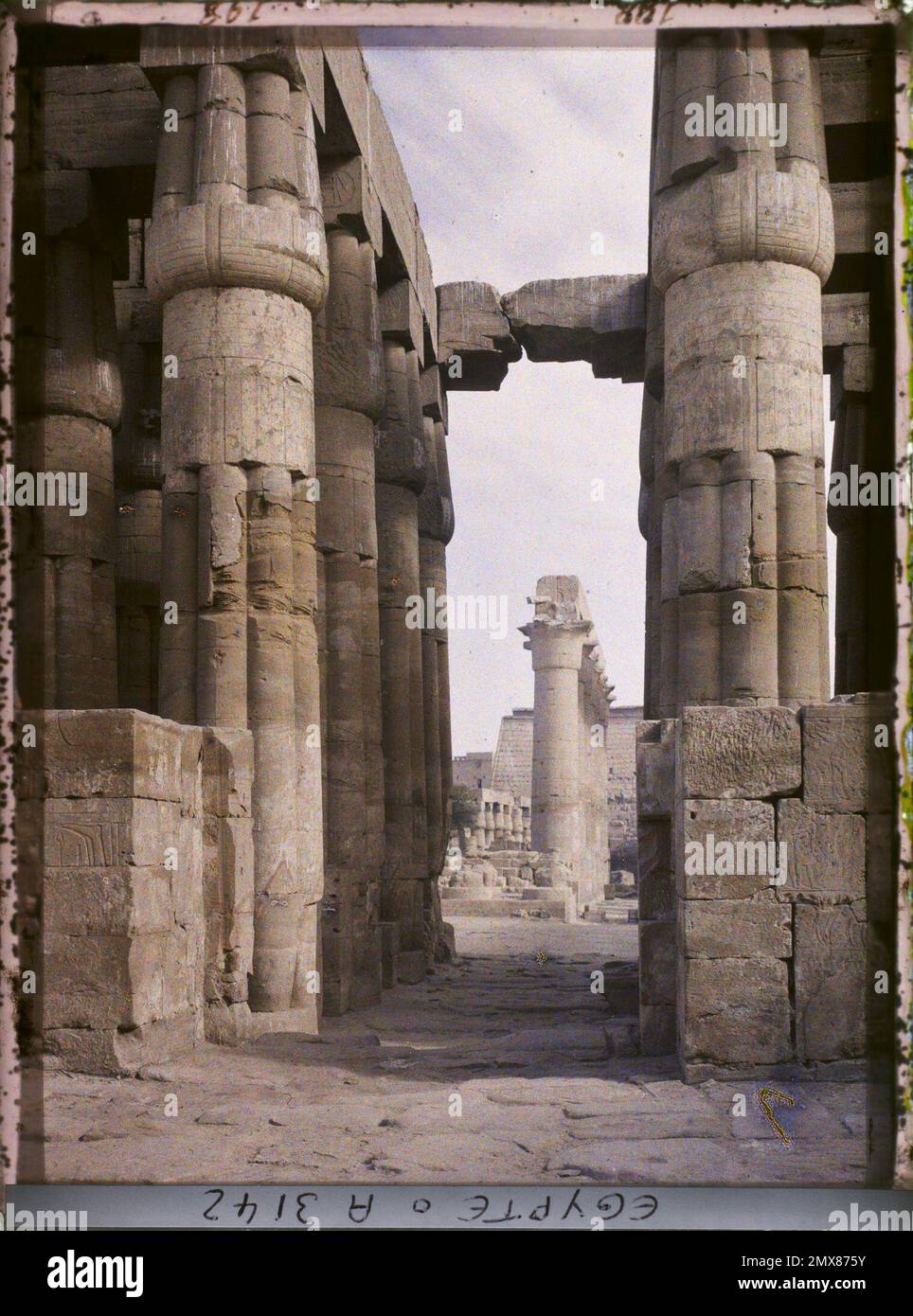 Temple archaeological vestige column egyptian polytheism habitat hi-res ...