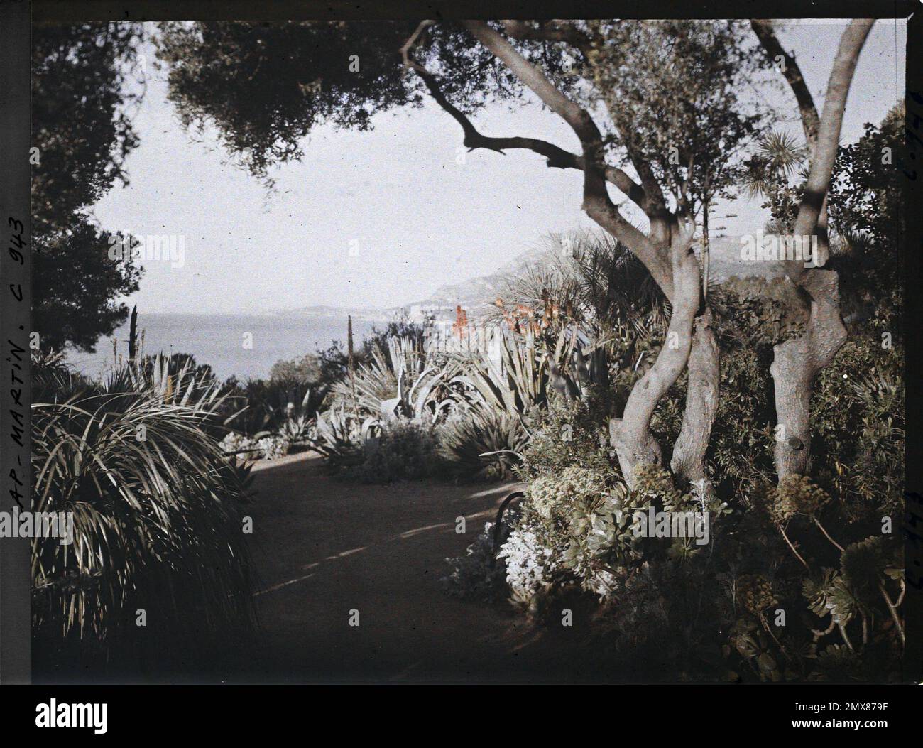 Cap Martin , France , 1927 - Cap Martin - Auguste Léon - (March -April ...