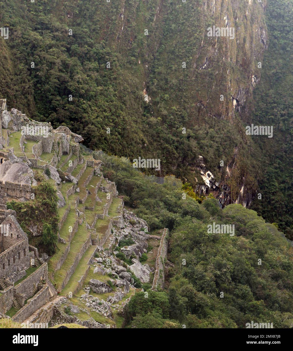 An aerial view of Machu Picchu's front farming terraces and a section ...