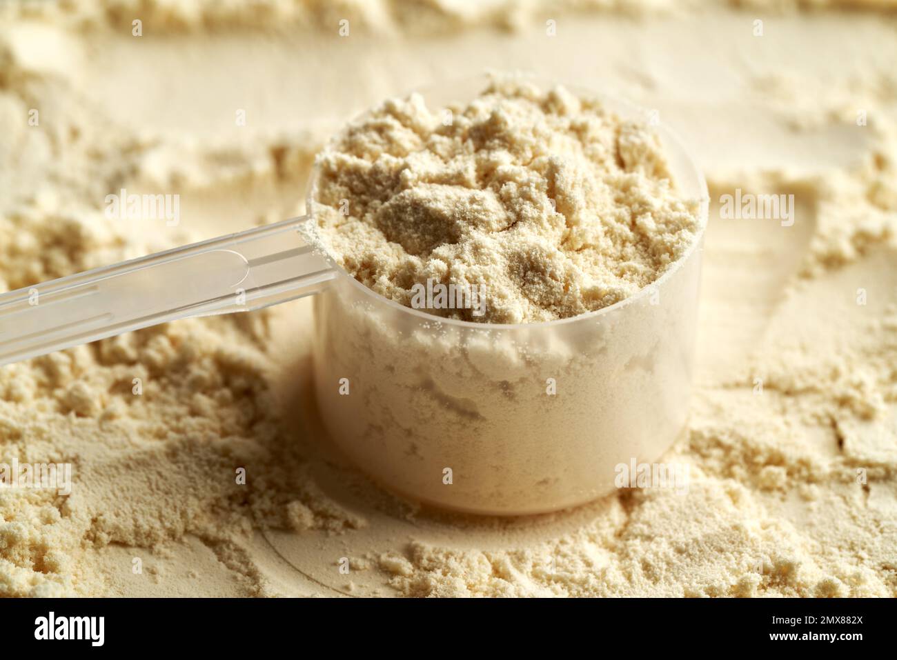 Bodybuilding cup hi-res stock photography and images - Alamy