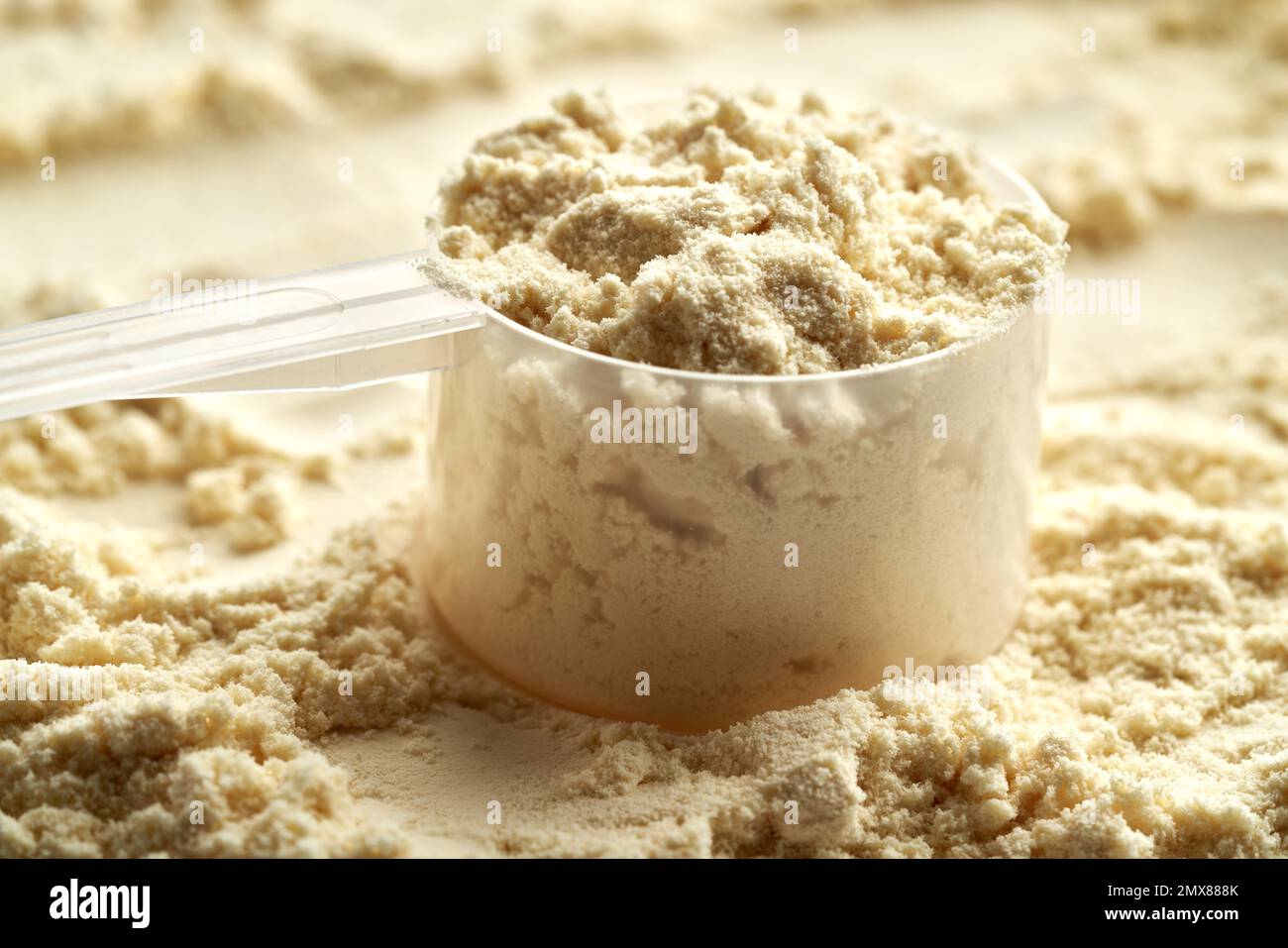 Vanilla whey protein powder in a measuring scoop, closeup Stock Photo ...