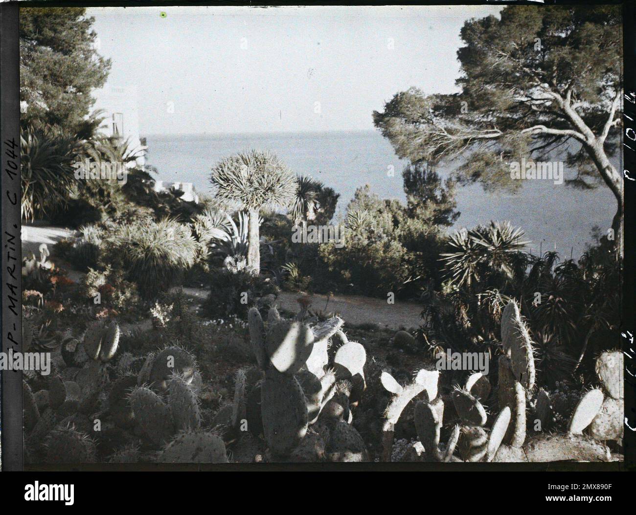 Cap Martin , France , 1927 - Cap Martin - Auguste Léon - (March -April ...