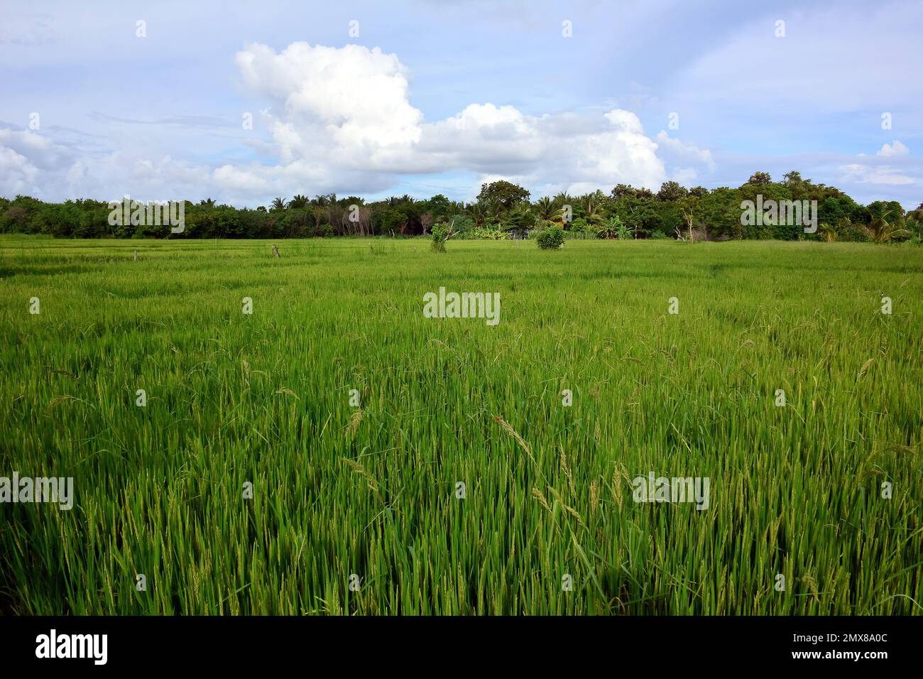 Hambantota hi-res stock photography and images - Alamy