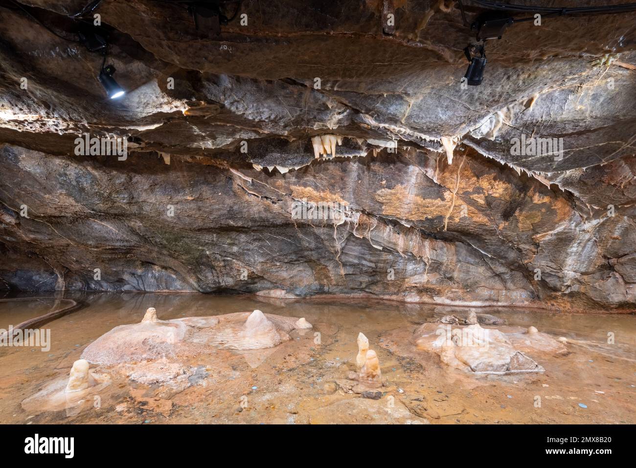 Stalagmites and stalactites in Goughs Cave in Cheddar in Somerset Stock ...