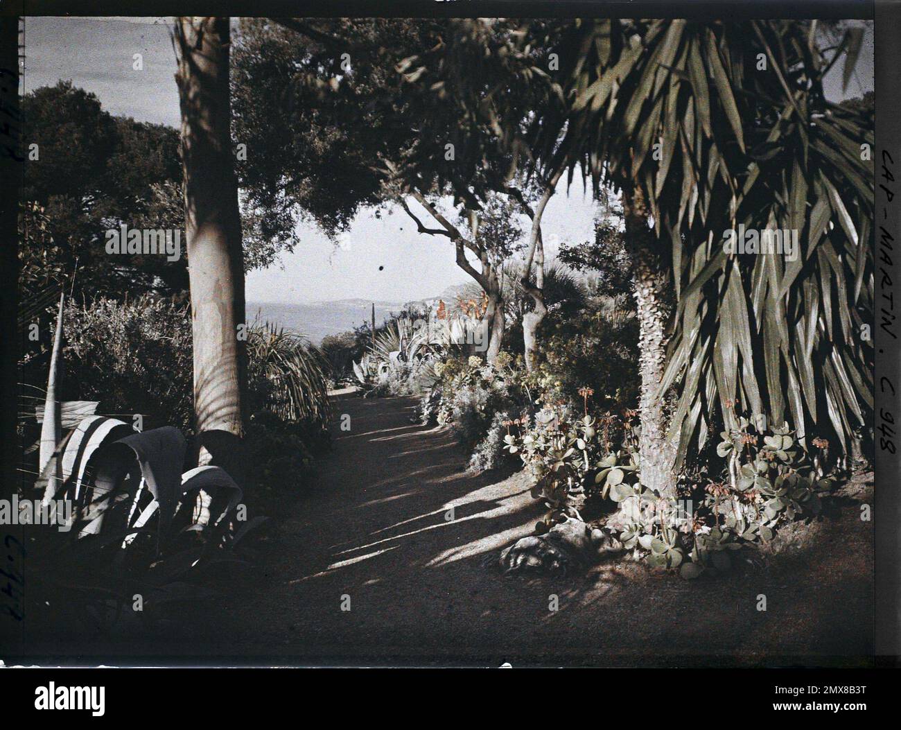 Cap Martin , France , 1927 - Cap Martin - Auguste Léon - (March -April ...