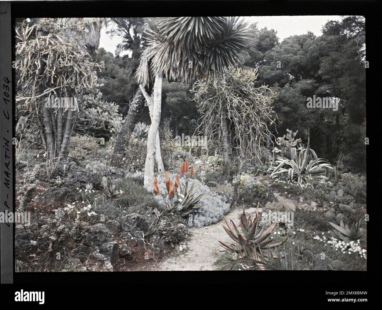 Cap Martin , France , 1927 - Cap Martin - Auguste Léon - (March -April ...