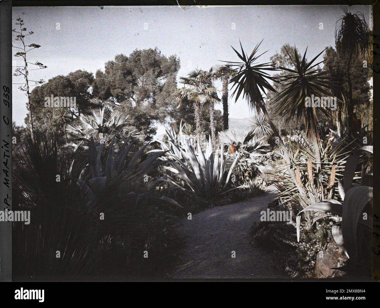 Cap Martin , France , 1927 - Cap Martin - Auguste Léon - (March -April ...