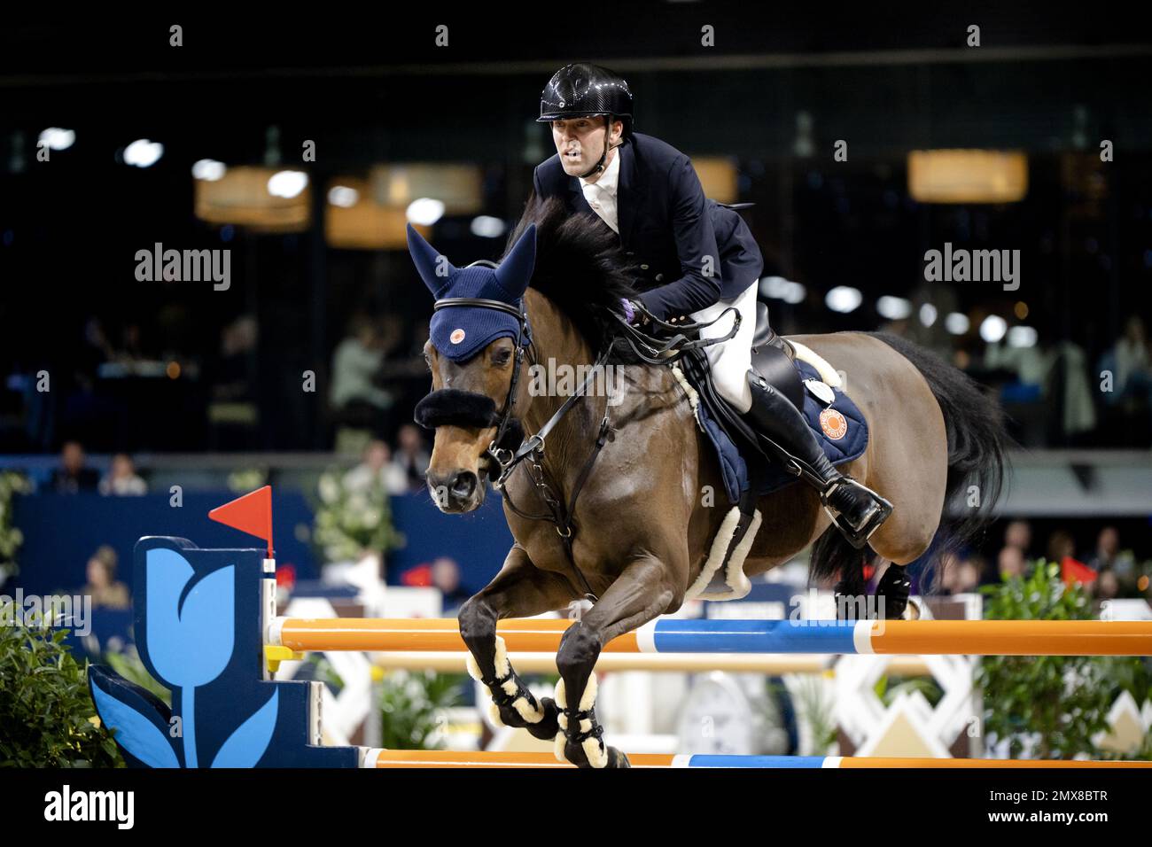 AMSTERDAM - Rider Simon Delestre (FRA) on Cayman Jolly Jumper during ...