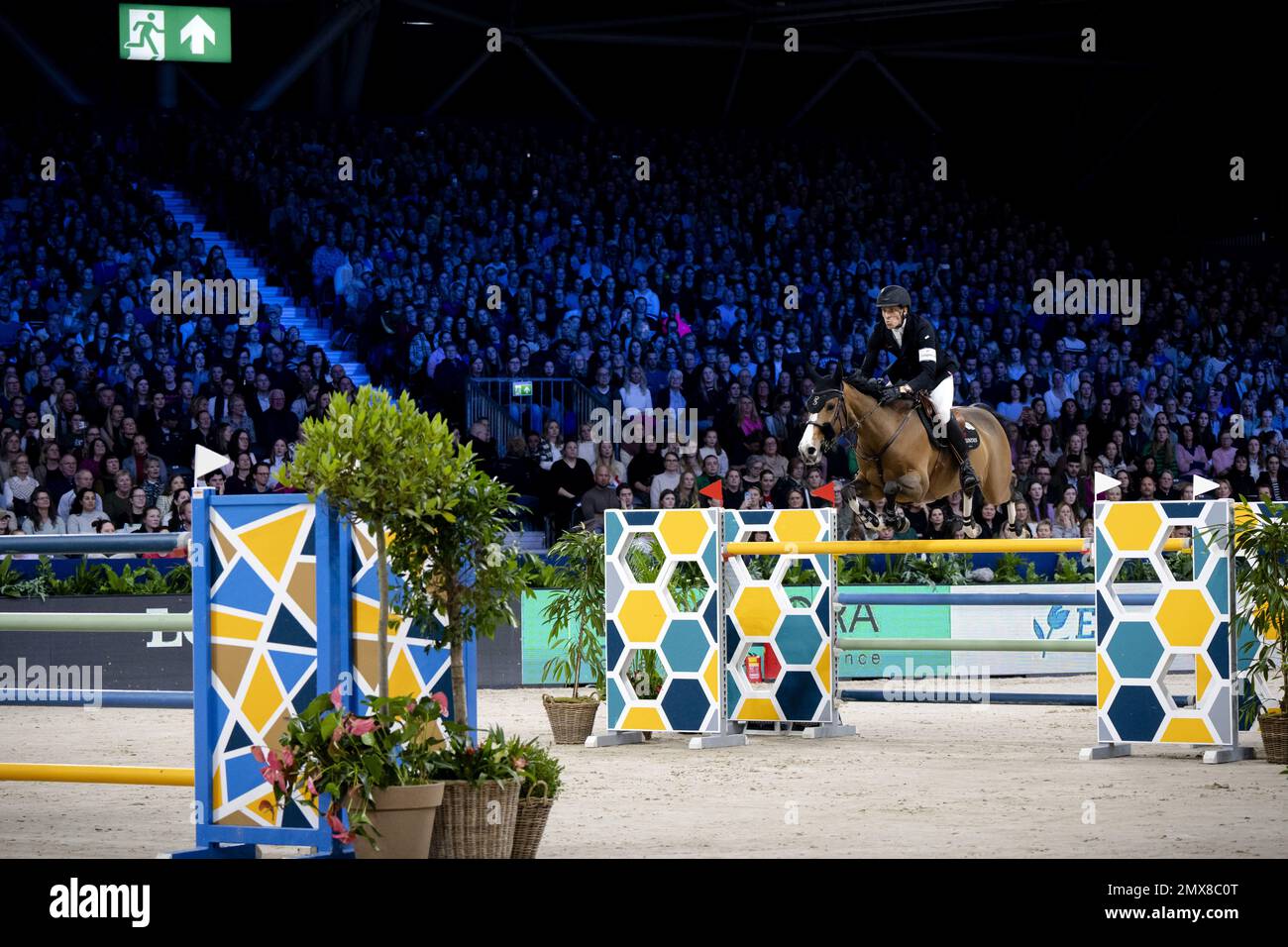 AMSTERDAM - Rider Henrick von Eckermann (SWE) on Iliana during the FEI ...