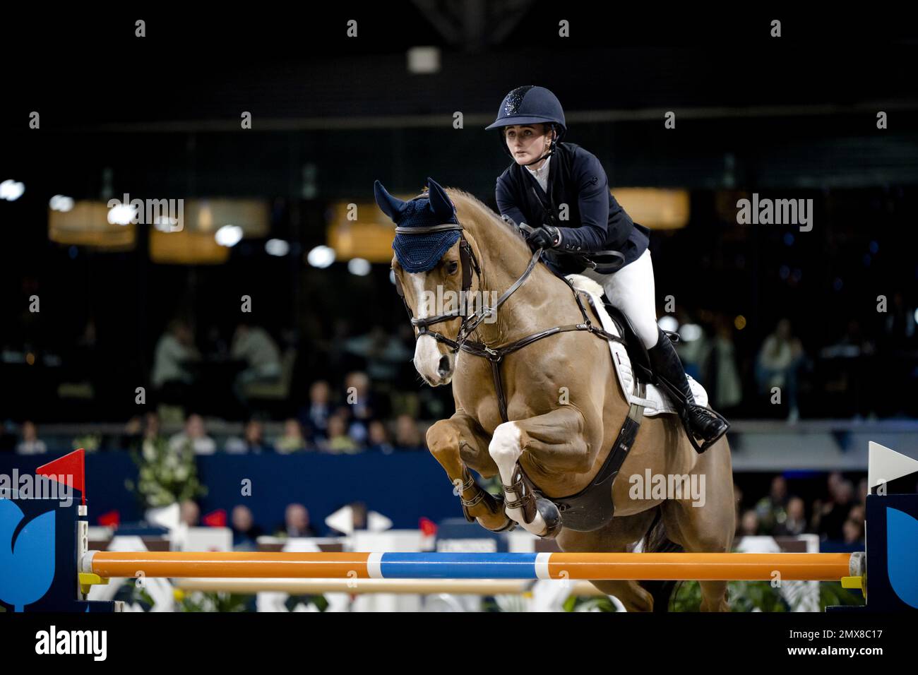 AMSTERDAM - Rider Jodie Hall McAteer (GBR) on Salt n Peppa during the ...